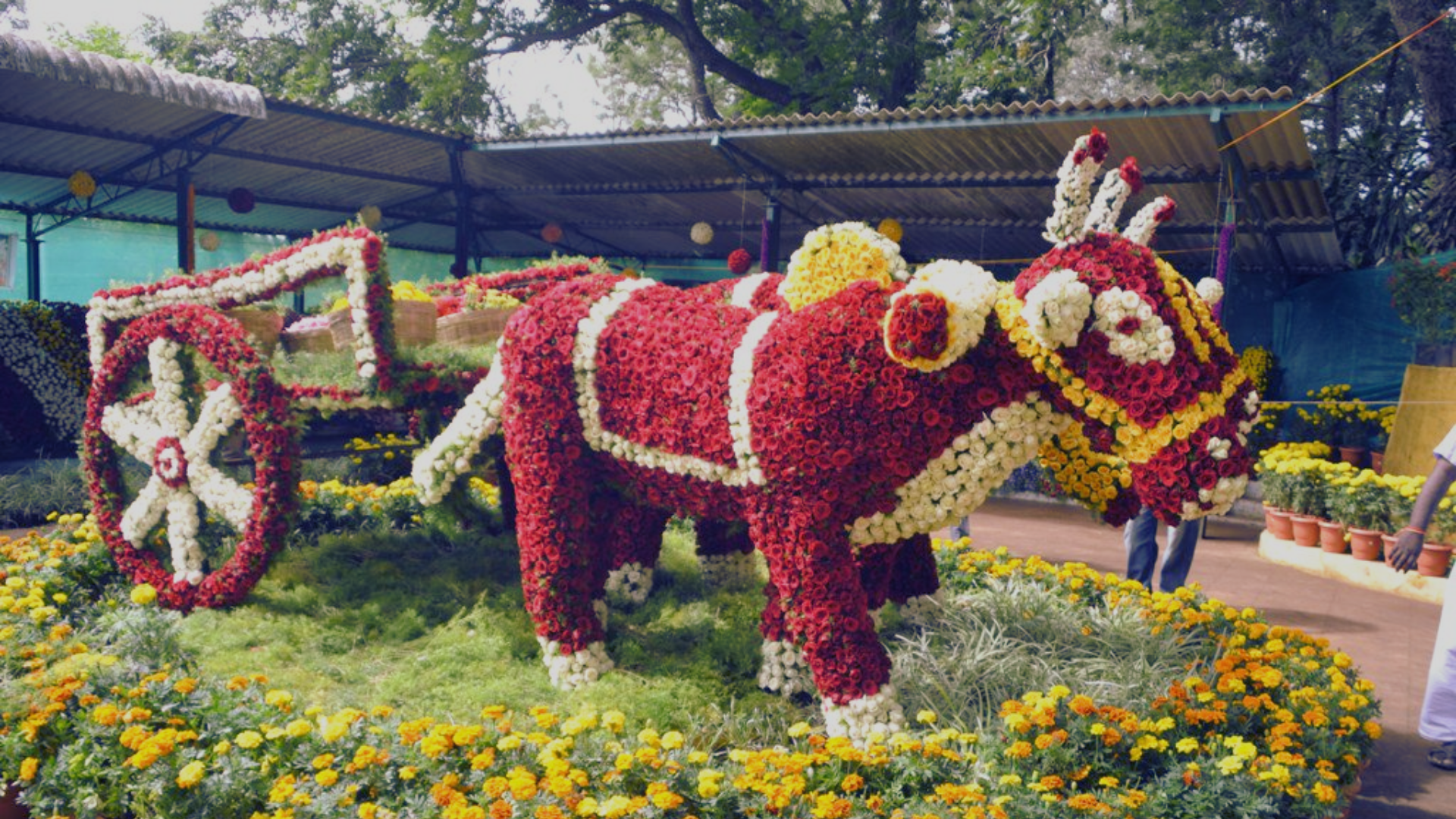 Yercaud Flower Festival